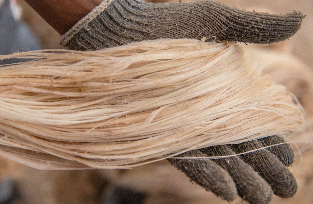 Interloop – Pakistan's Biggest Quality Socks and Hosiery Products ...